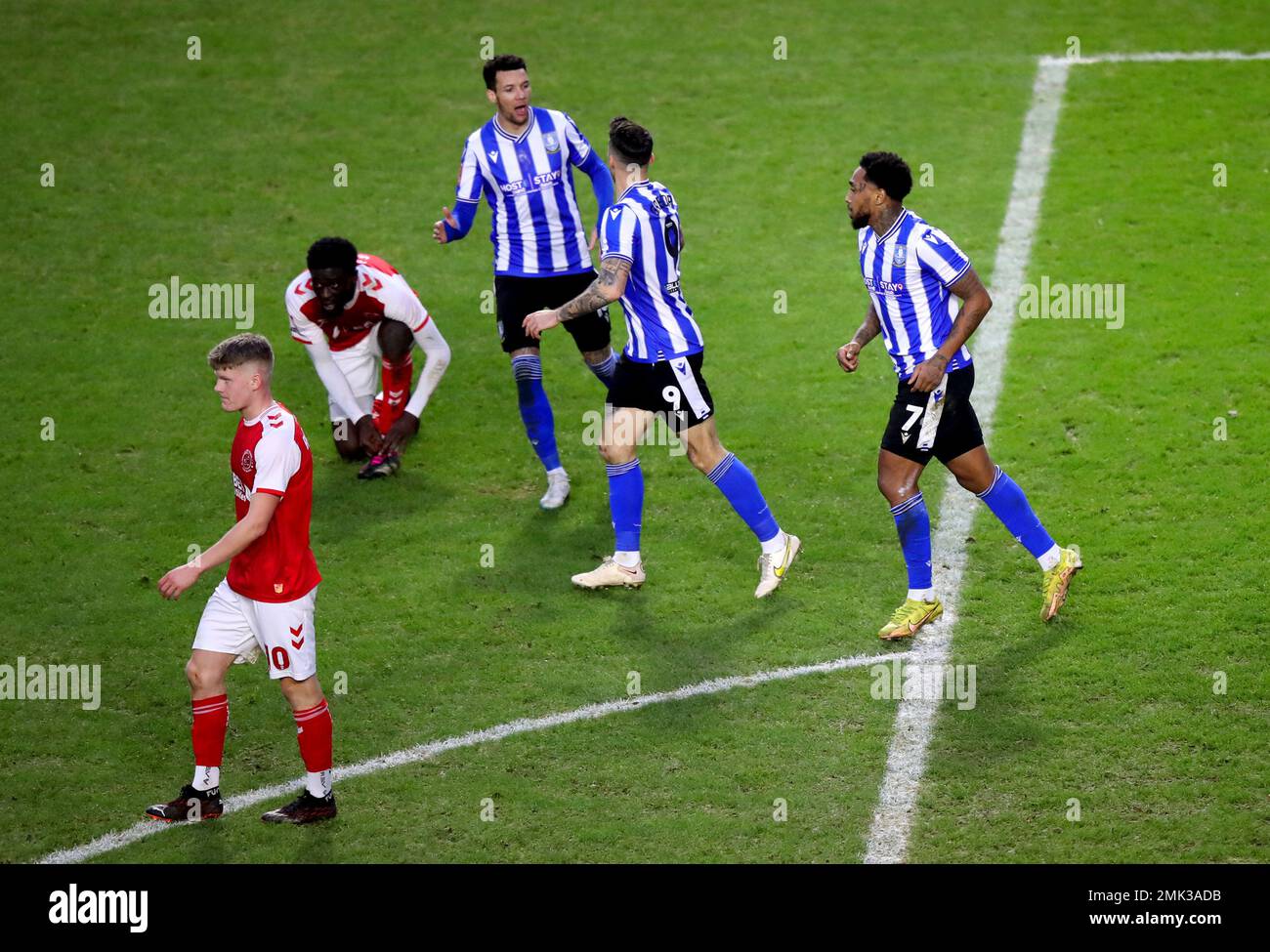 Sheffield Wednesday's Marvin Johnson and Lee Gregory celebrate after ...