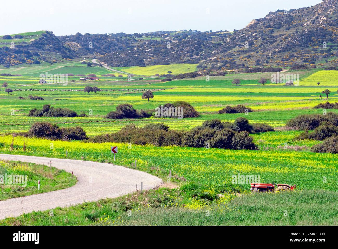 Landscape at the Karpaz peninsula in North Cyprus Stock Photo - Alamy