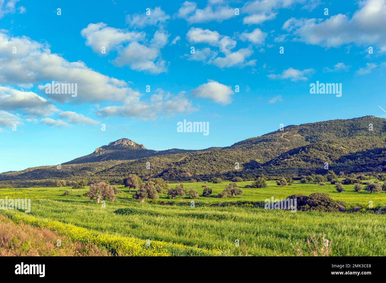 Landscape on the Karpasia peninsula in eastern Cyprus Stock Photo - Alamy