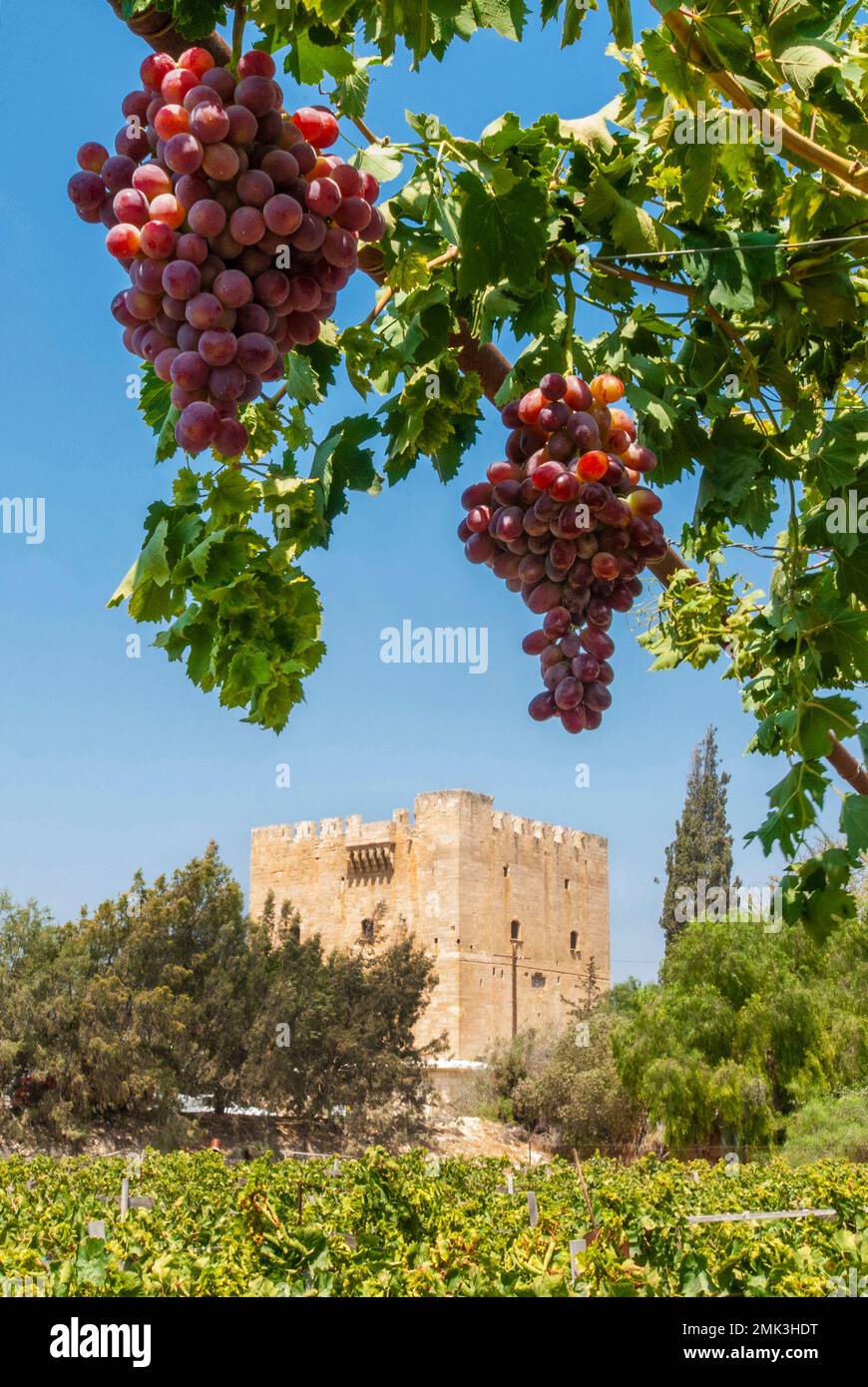 Strohwein hi-res stock photography and images - Alamy
