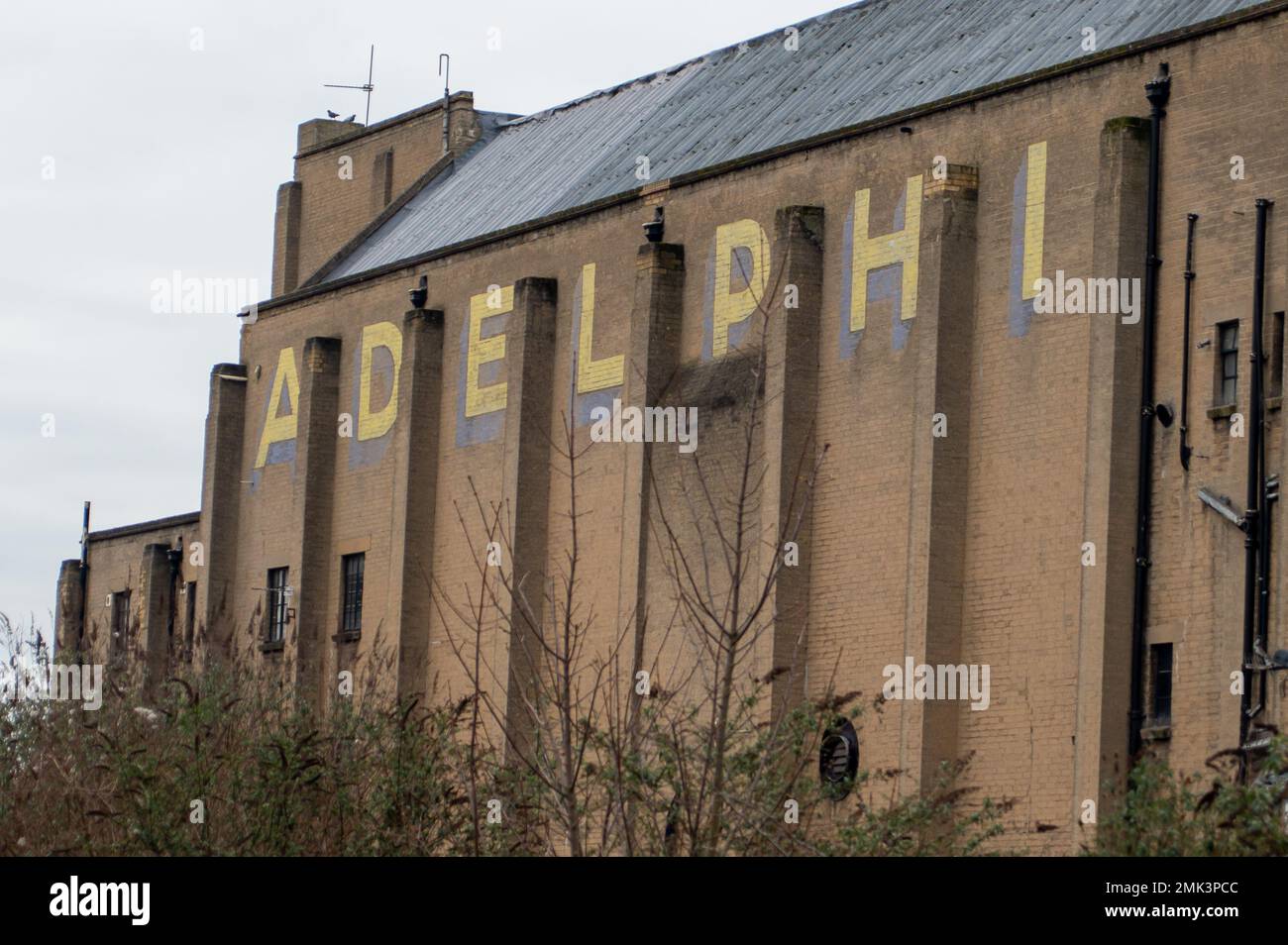 Buzz bingo hi-res stock photography and images - Alamy