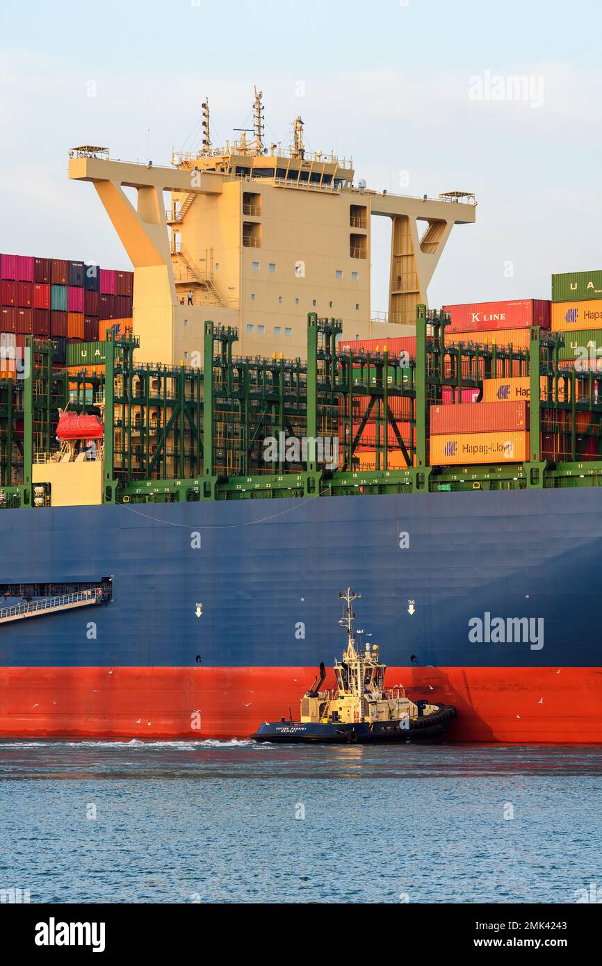 A portrait view of a tug assisting a container ship Stock Photo - Alamy