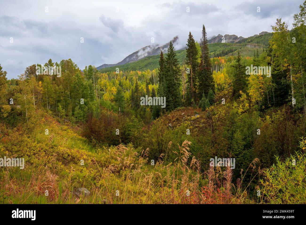 Colorado fall landscape Stock Photo - Alamy