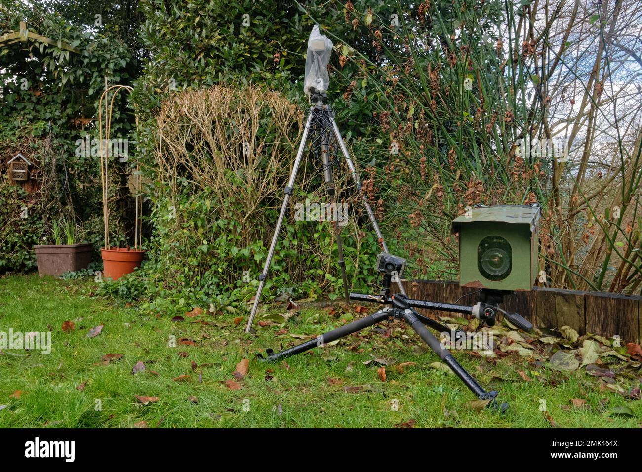 Trapping techniques hi-res stock photography and images - Alamy