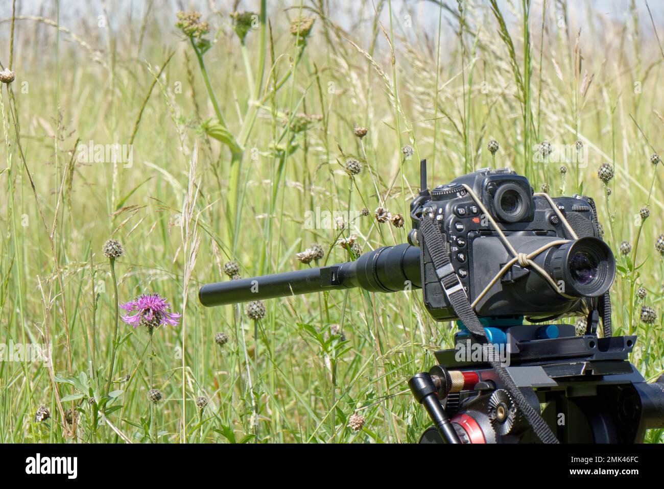Probe lens hi-res stock photography and images - Alamy