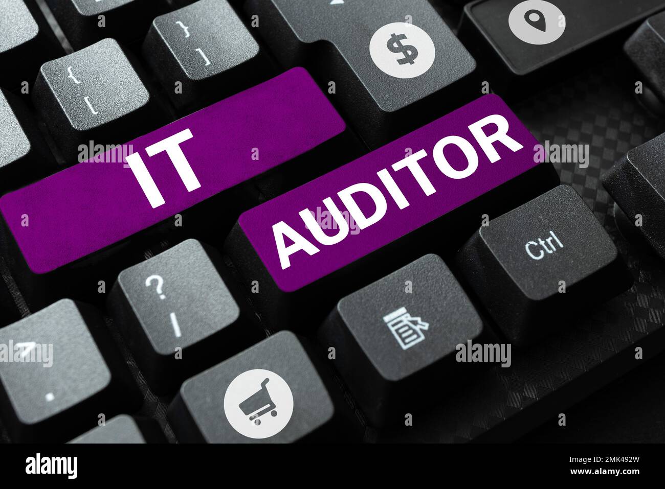 Hand writing sign It Auditor. Word Written on person authorized to ...