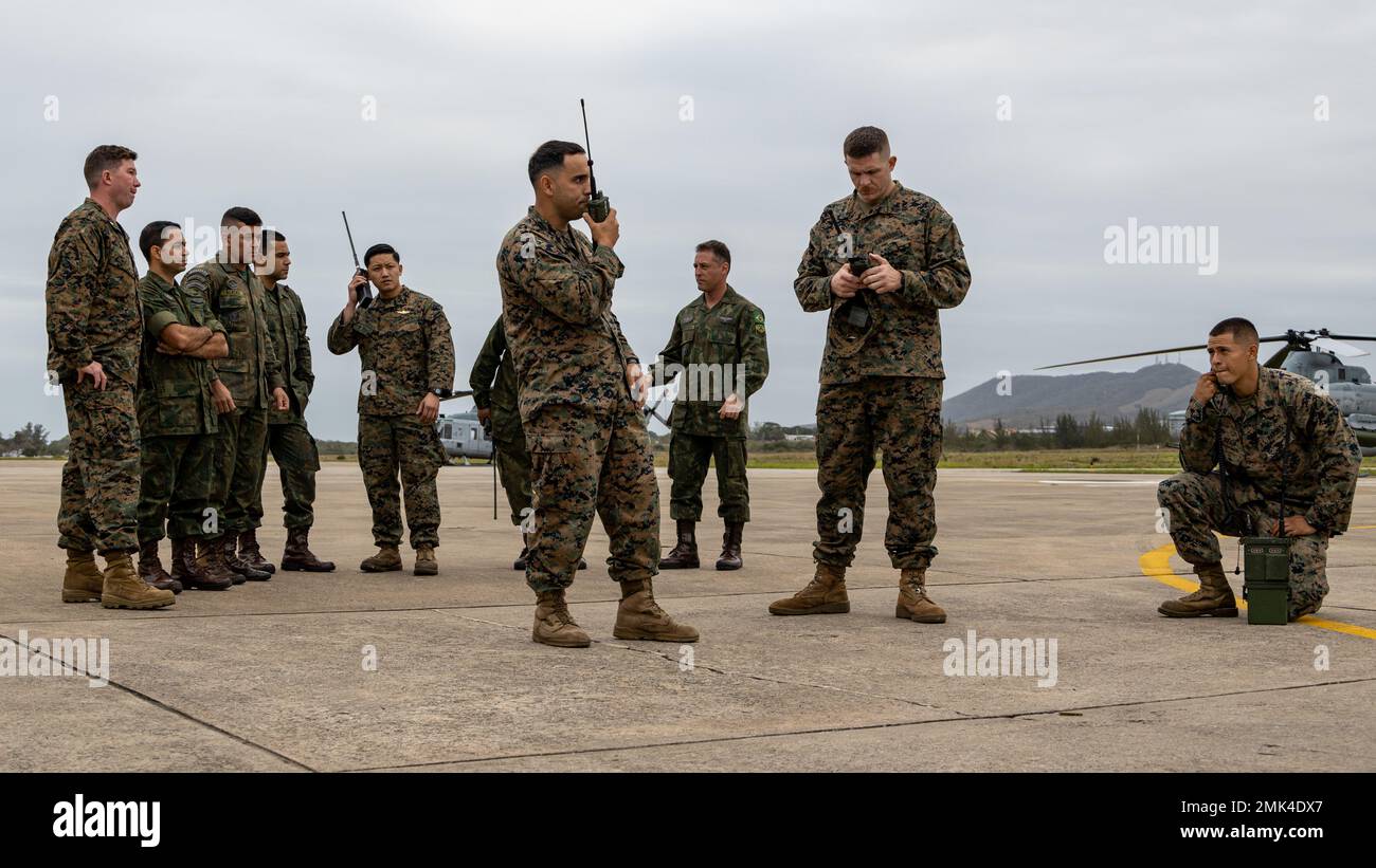 U.S. Marines with 4th Air Naval Gunfire Liaison Company, Force ...