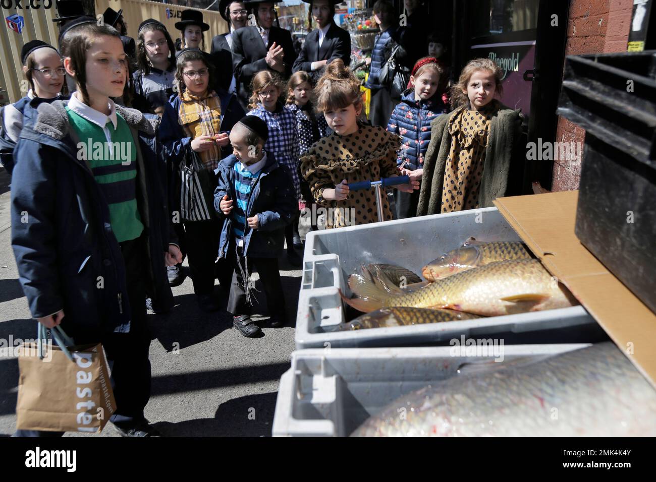 A group of orthodox Jews look at a delivery of fresh fish in front of ...