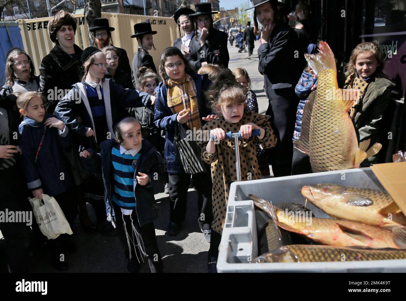 A group of orthodox Jews react as a fresh fish flops out of its crate ...
