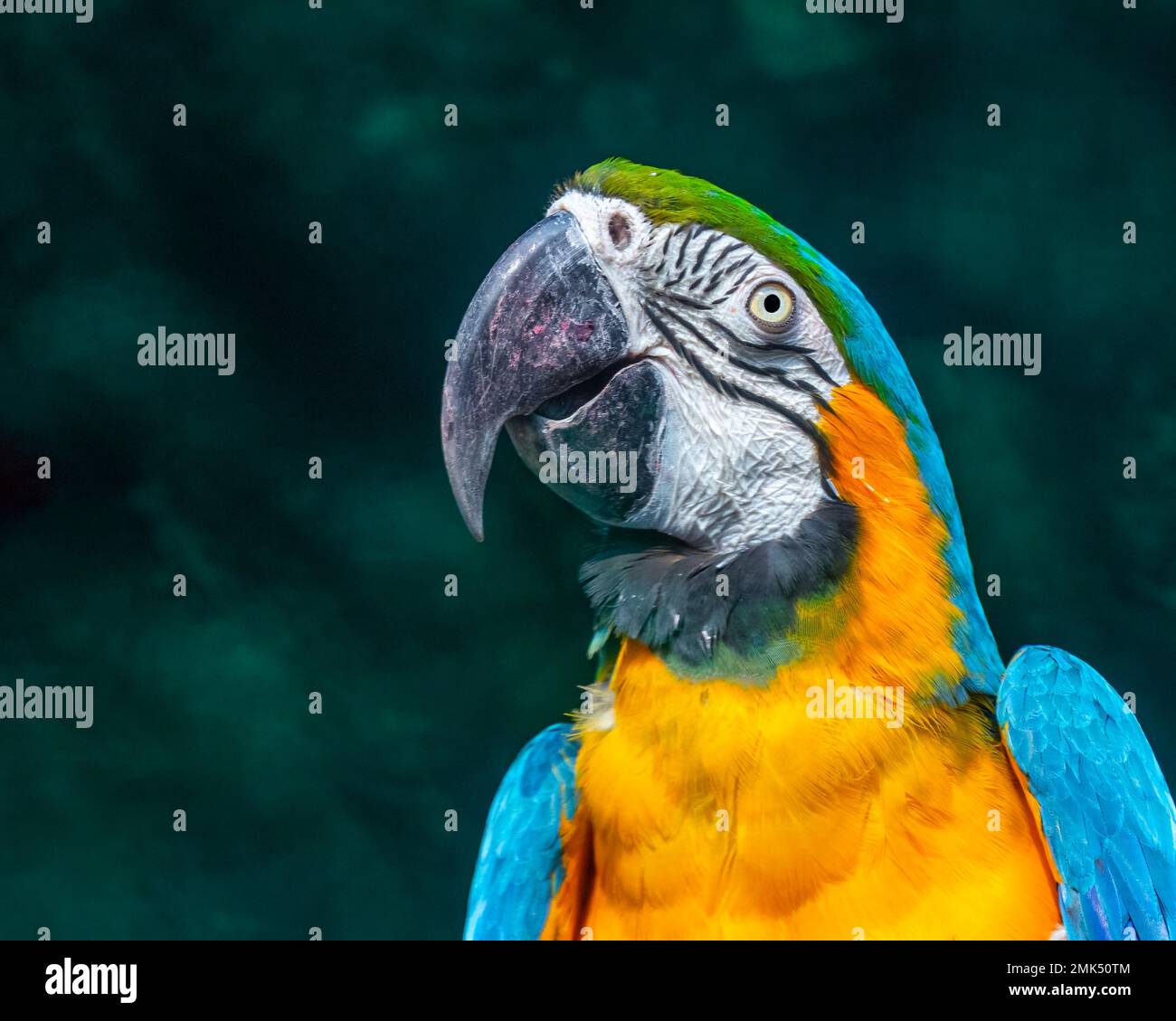 Questionable hi-res stock photography and images - Alamy