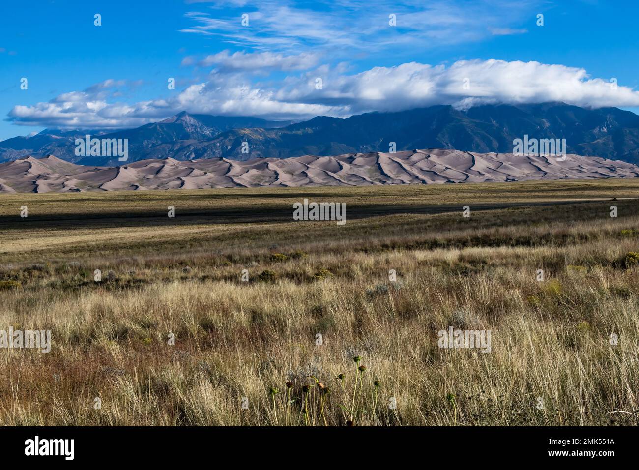 Colorado river bank erosion hi-res stock photography and images - Alamy
