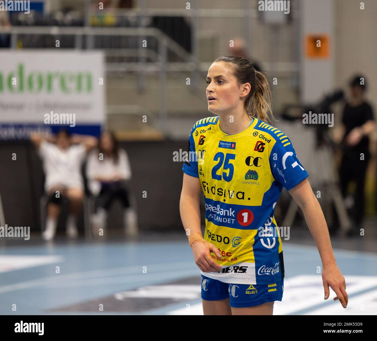 Hamar, Norway. 28th Jan, 2023. Hamar, Norway, January 28th 2023 ...