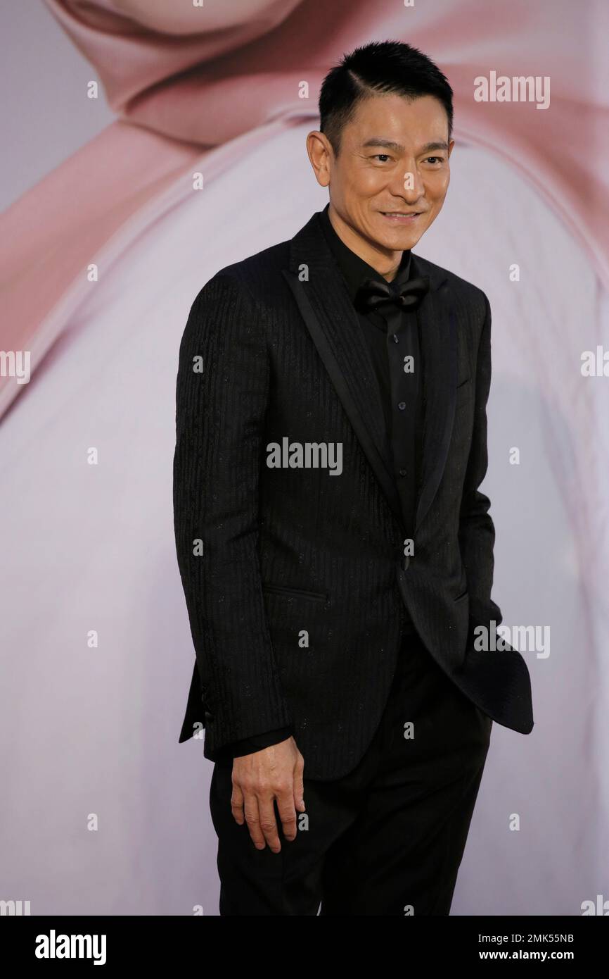 Hong Kong actor Andy Lau poses on the red carpet of the Hong Kong Film ...
