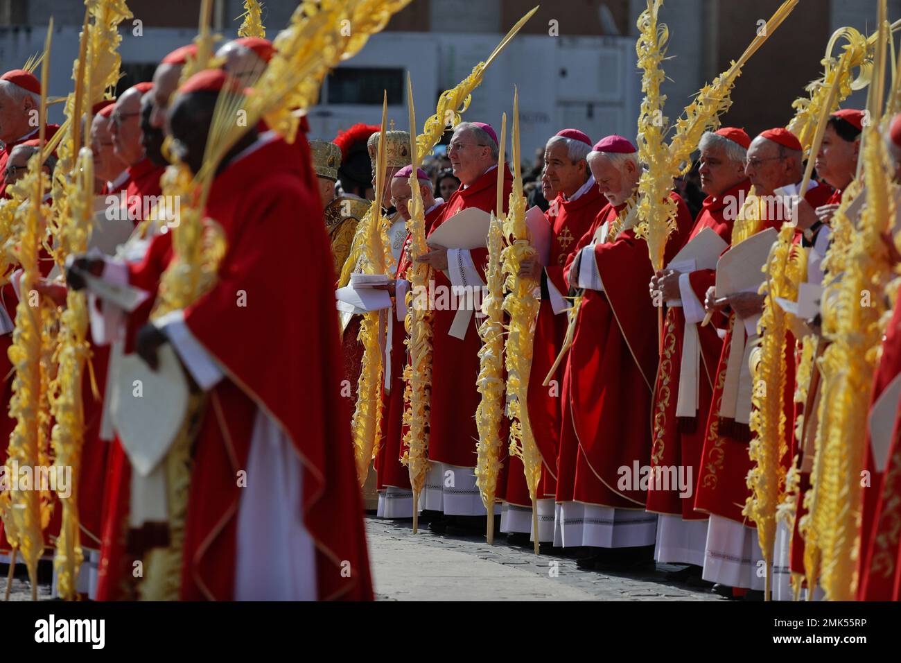 Cardinals and bishops hold palm fronds as they attend a Palm Sunday ...