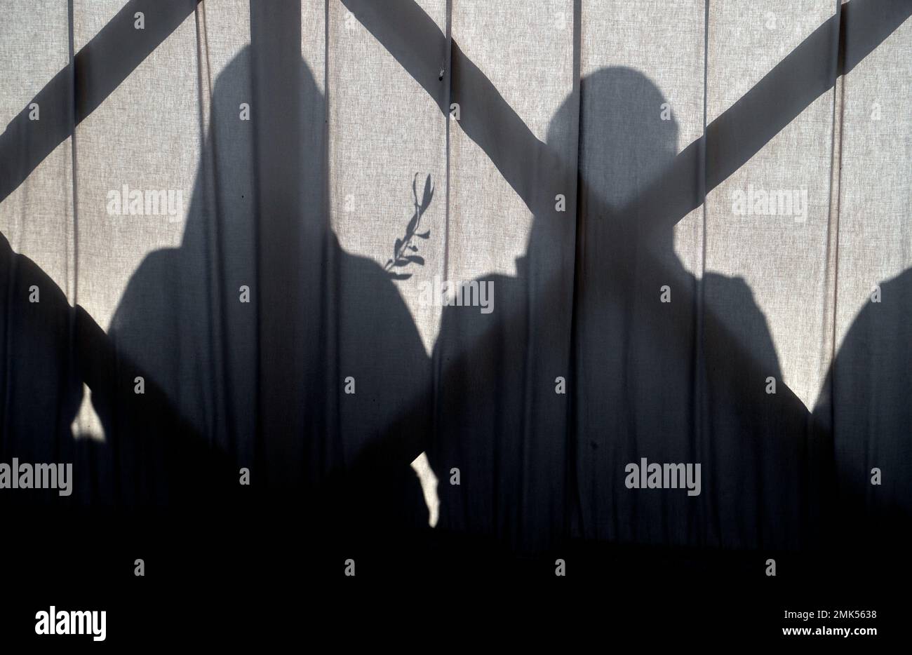 Two nuns, one of them holding a olive branch, wait for Pope Francis to ...