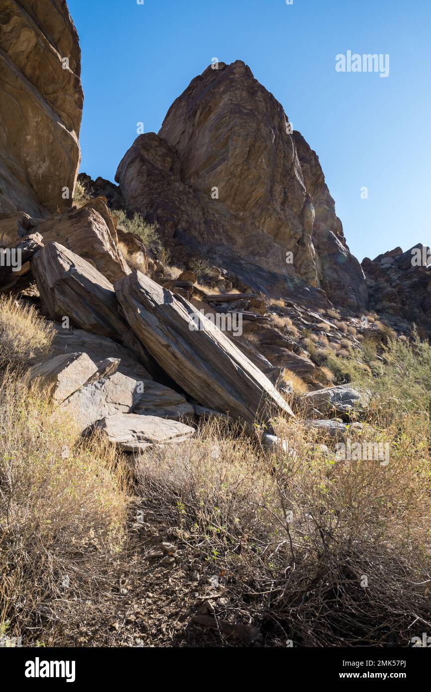Palm Springs, USA. 12th Nov, 2022. Palm Springs California Indian ...