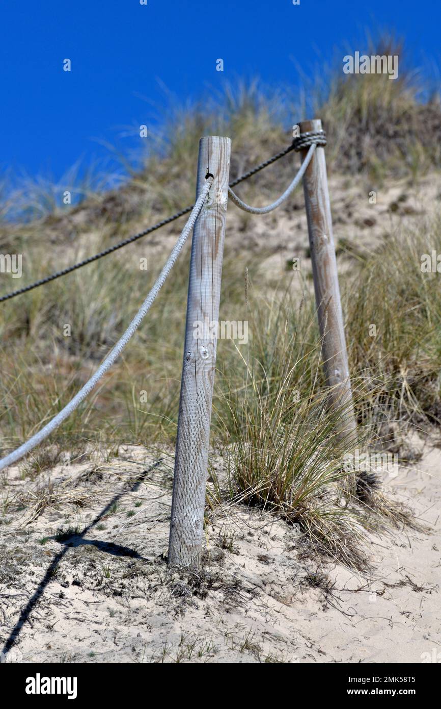 posts and ropes in coastal sand dunes winterton on sea norfolk england ...