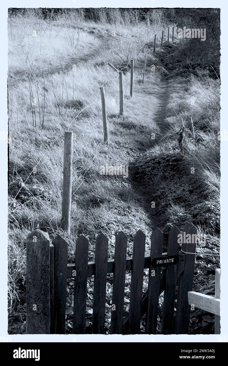 line of fence posts and gate to private property north norfolk england ...