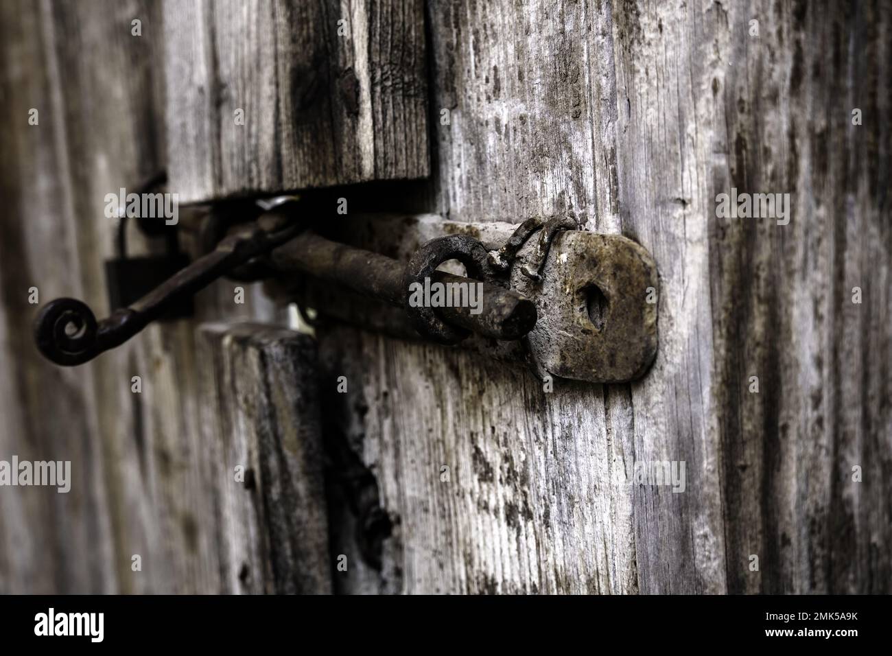 Security and protection detail on a door Stock Photo - Alamy
