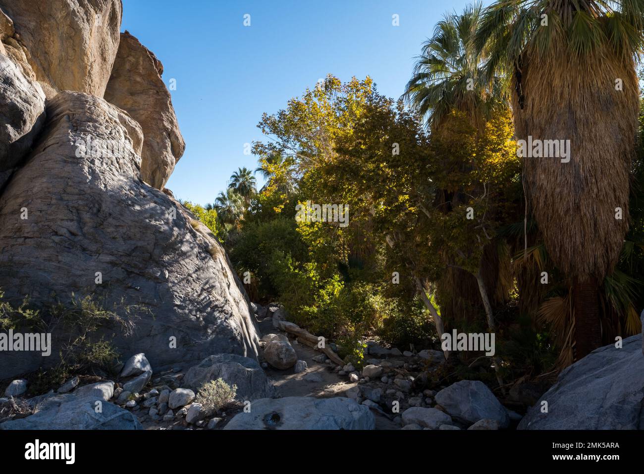 Palm Springs, USA. 12th Nov, 2022. Palm Springs California Indian ...