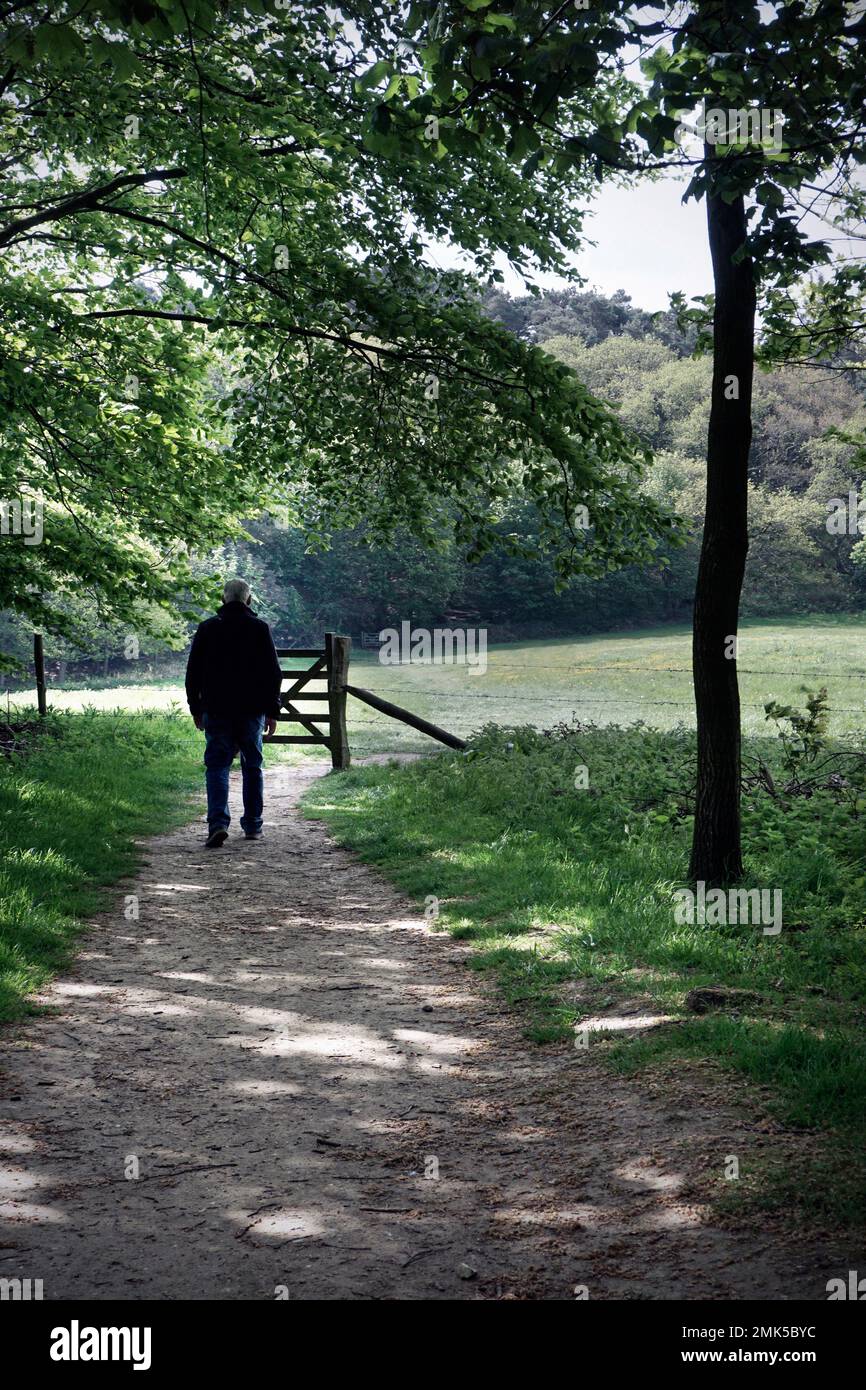 solitary man walking in countryside towards wooden gate and grassy ...