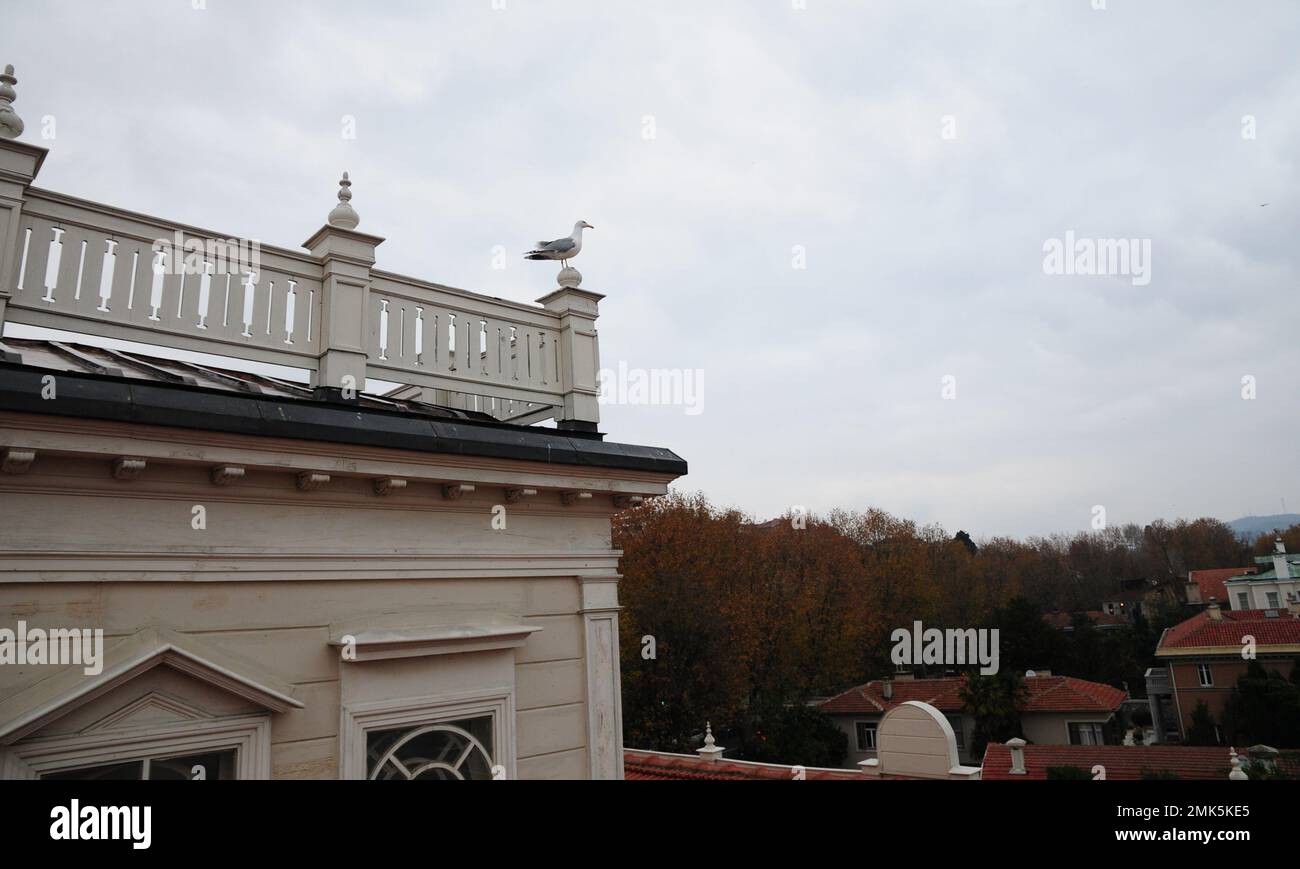 Historical Sait Halim Pasha Mansion - Istanbul - TURKEY Stock Photo - Alamy