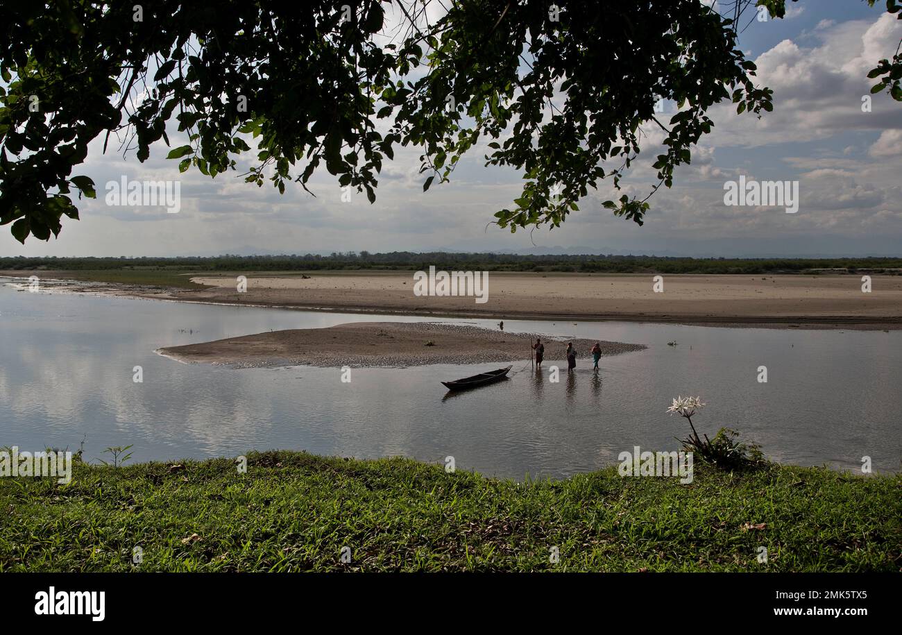 Indian fishing tribal women cross the river Brahmaputra in Majuli ...