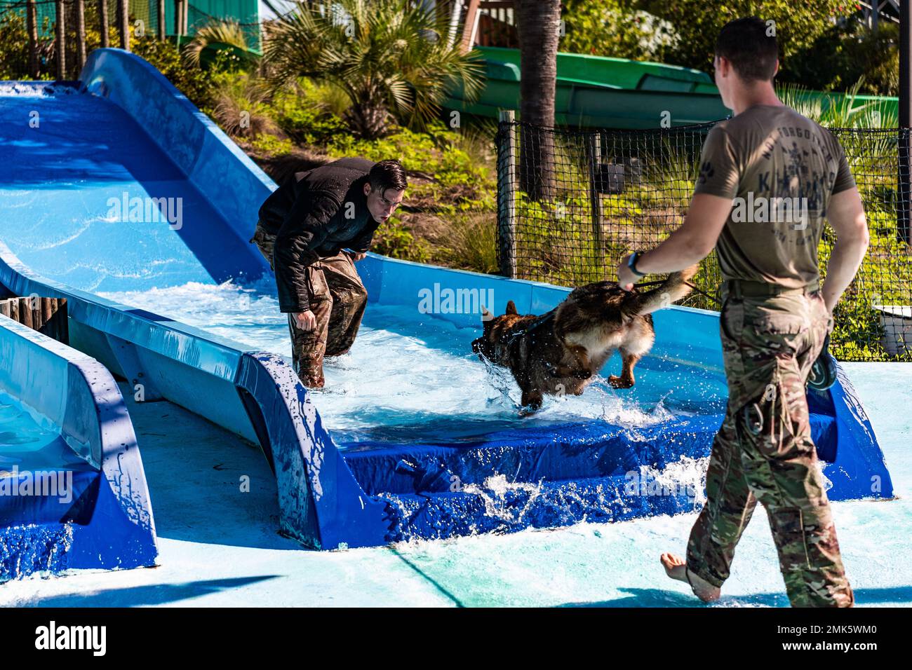 A Military Working Dog from the 820th Base Defense Group, 93rd Air ...