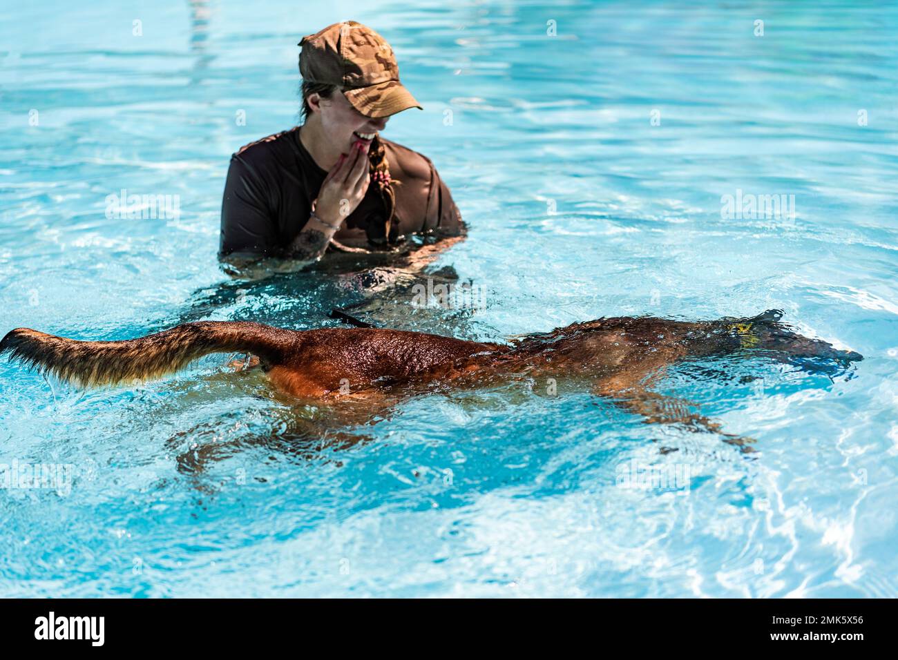 A Military Working Dog from the 820th Base Defense Group, 93rd Air ...