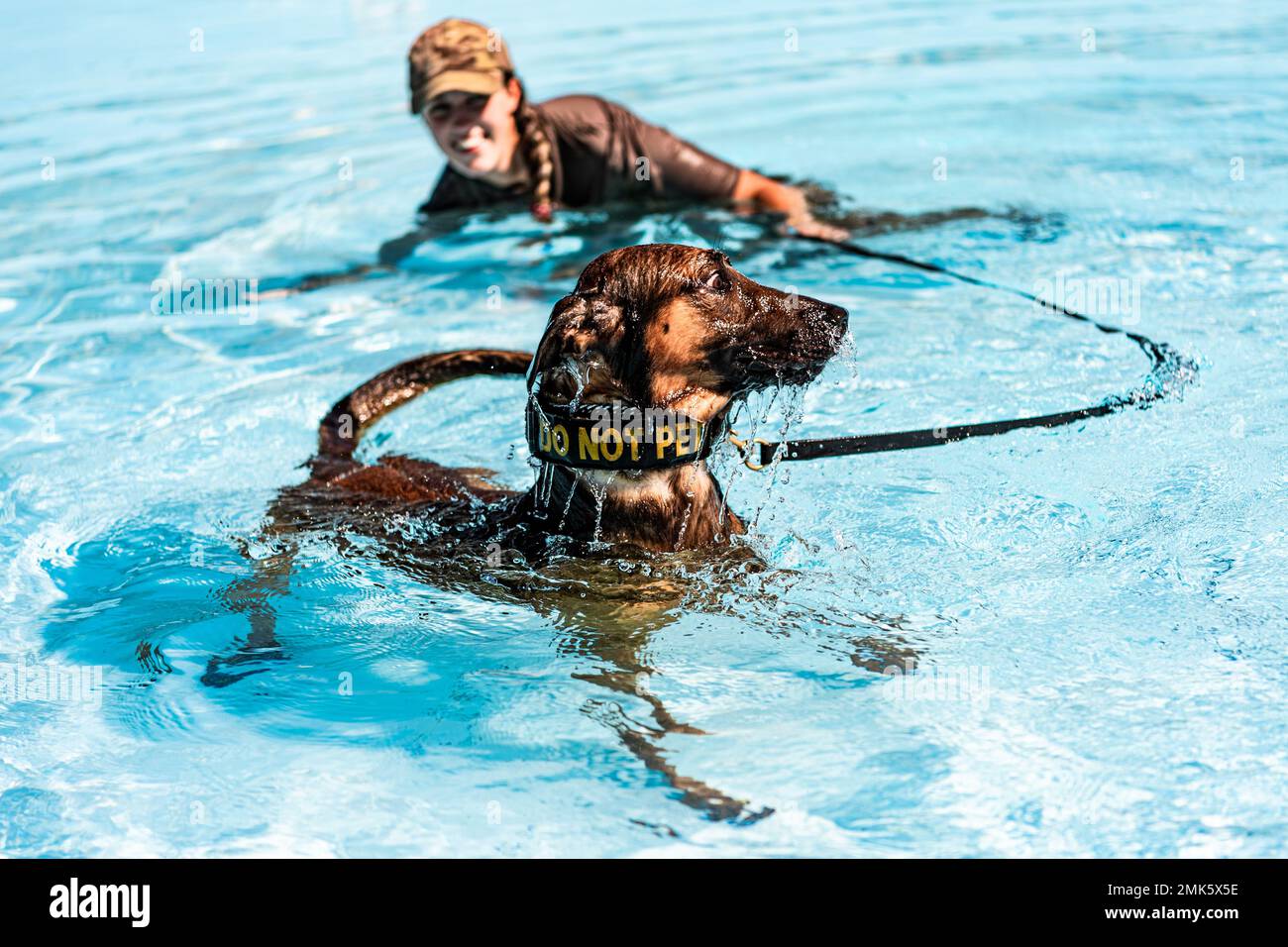 A Military Working Dog from the 820th Base Defense Group, 93rd Air ...