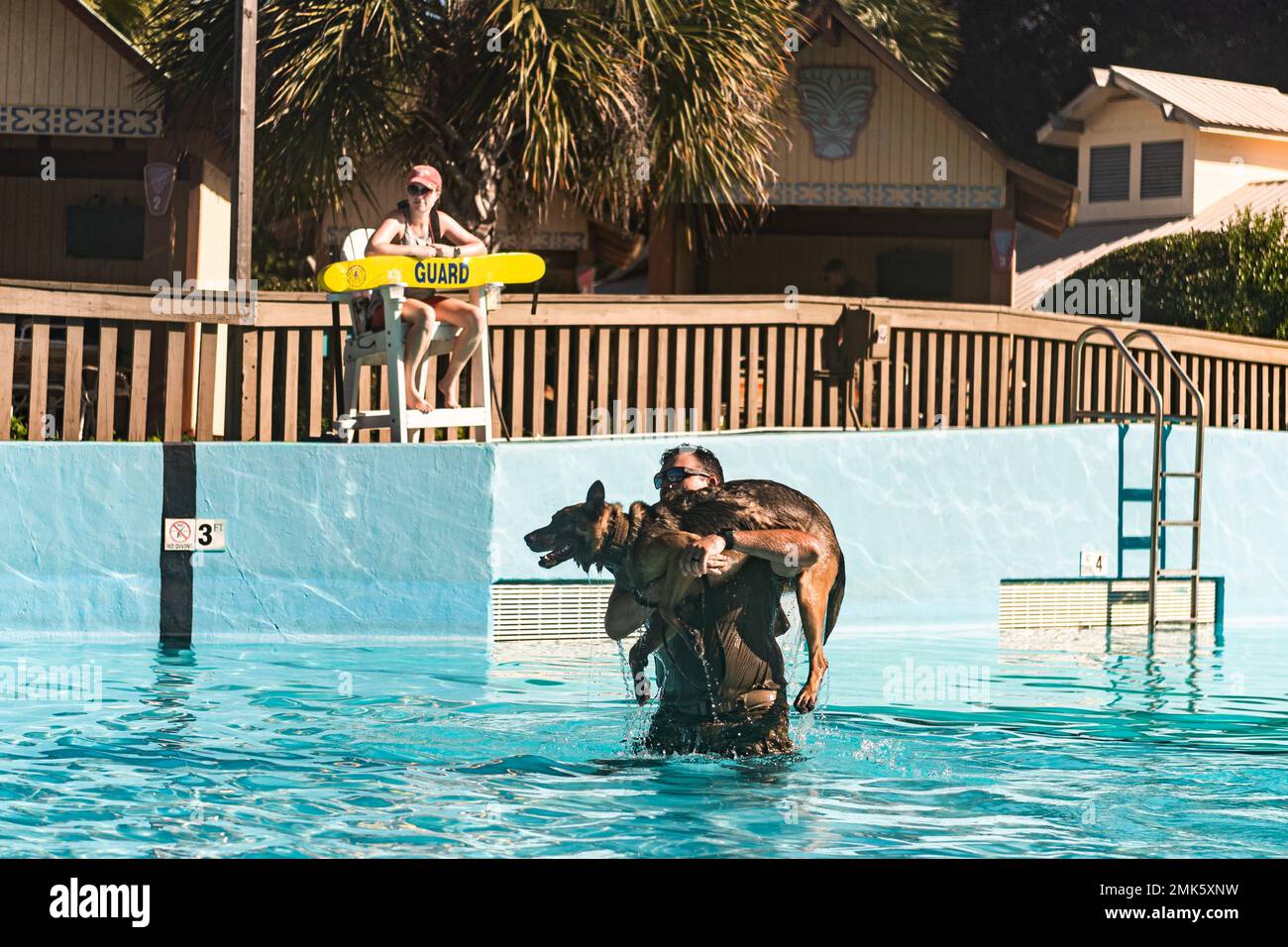A Military Working Dog from the 820th Base Defense Group, 93rd Air ...