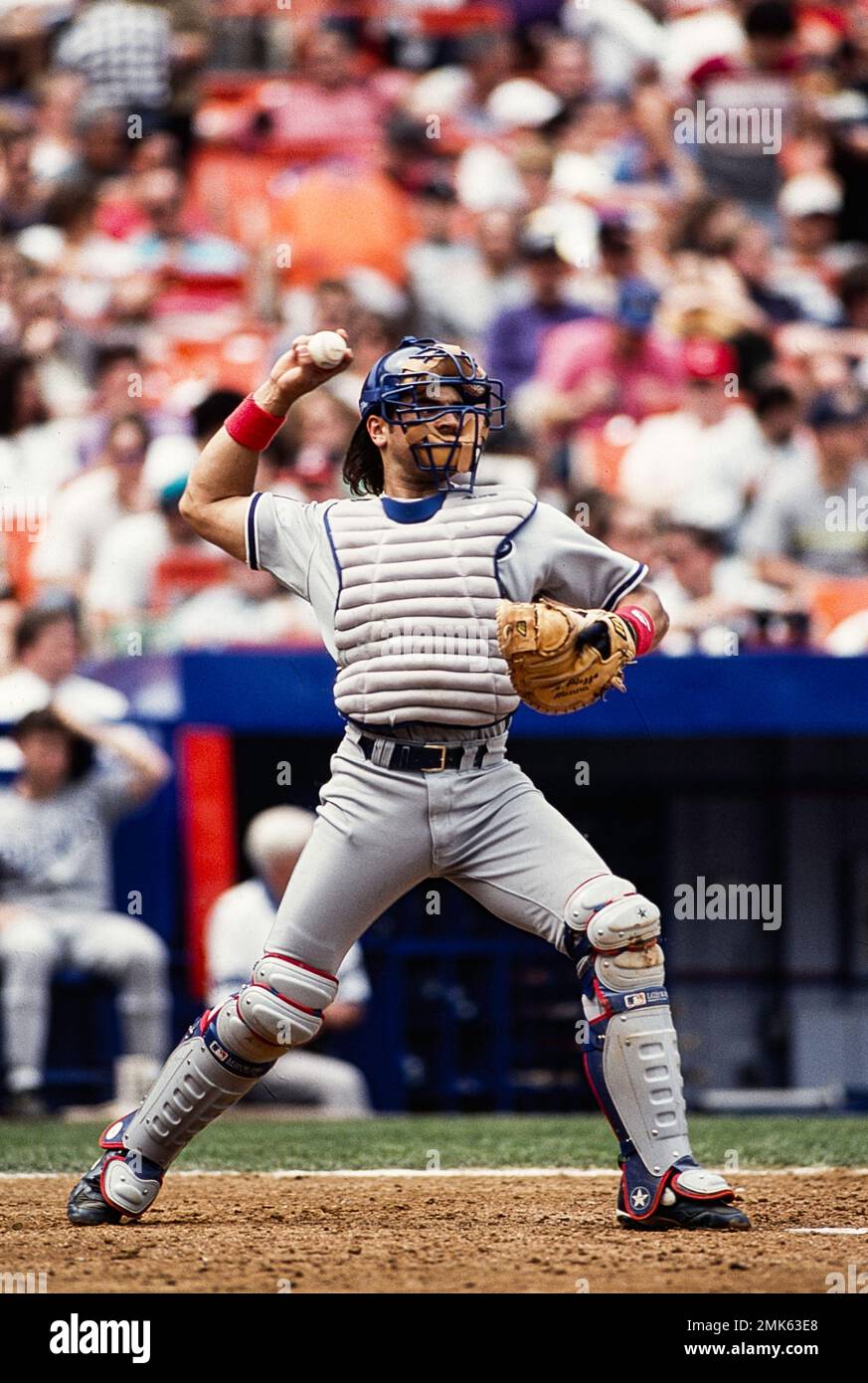 Mike piazza dodgers hi-res stock photography and images - Alamy