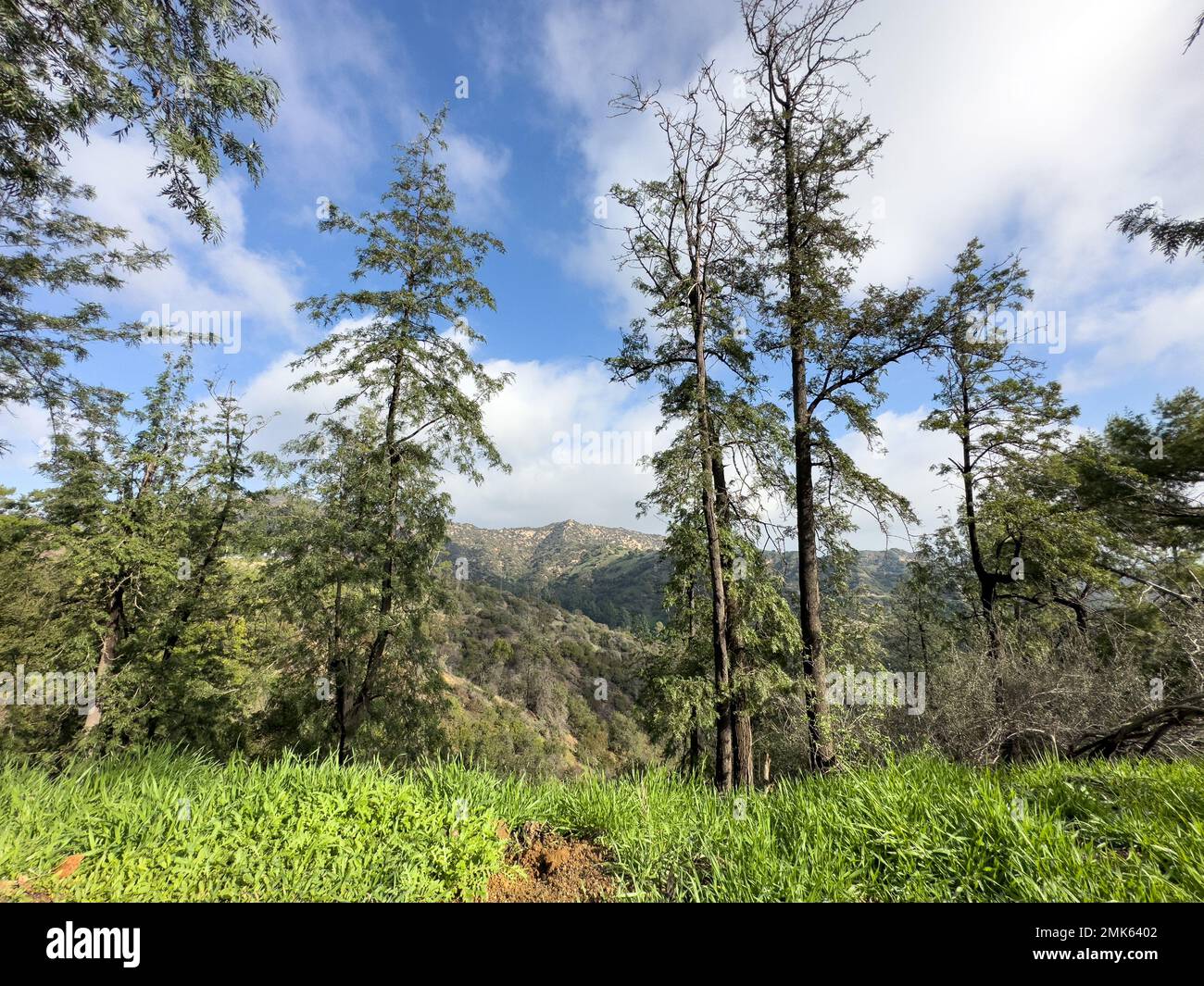 Nature natural scenery mountain peak trees hi-res stock photography and ...