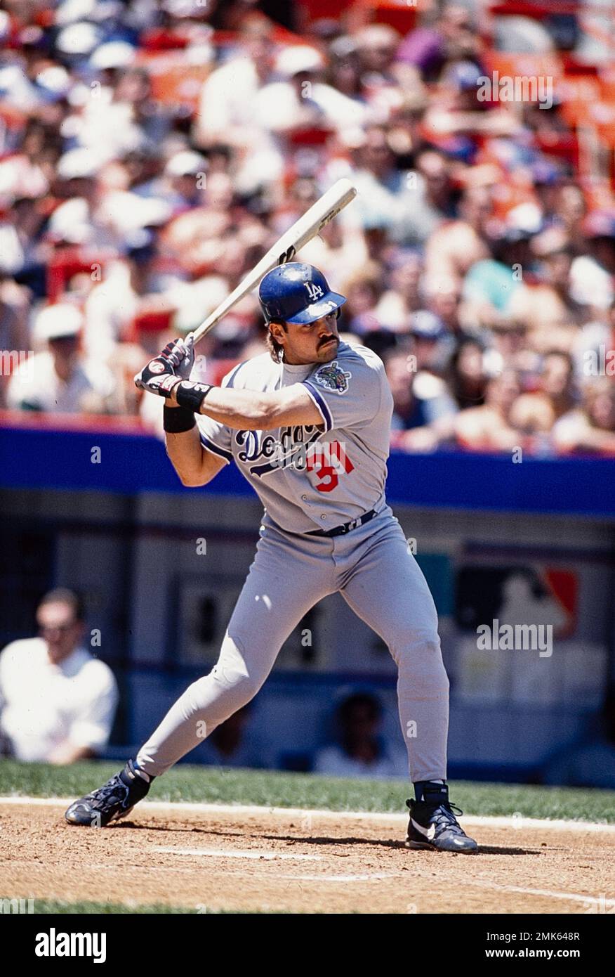 Mike piazza dodgers hi-res stock photography and images - Alamy