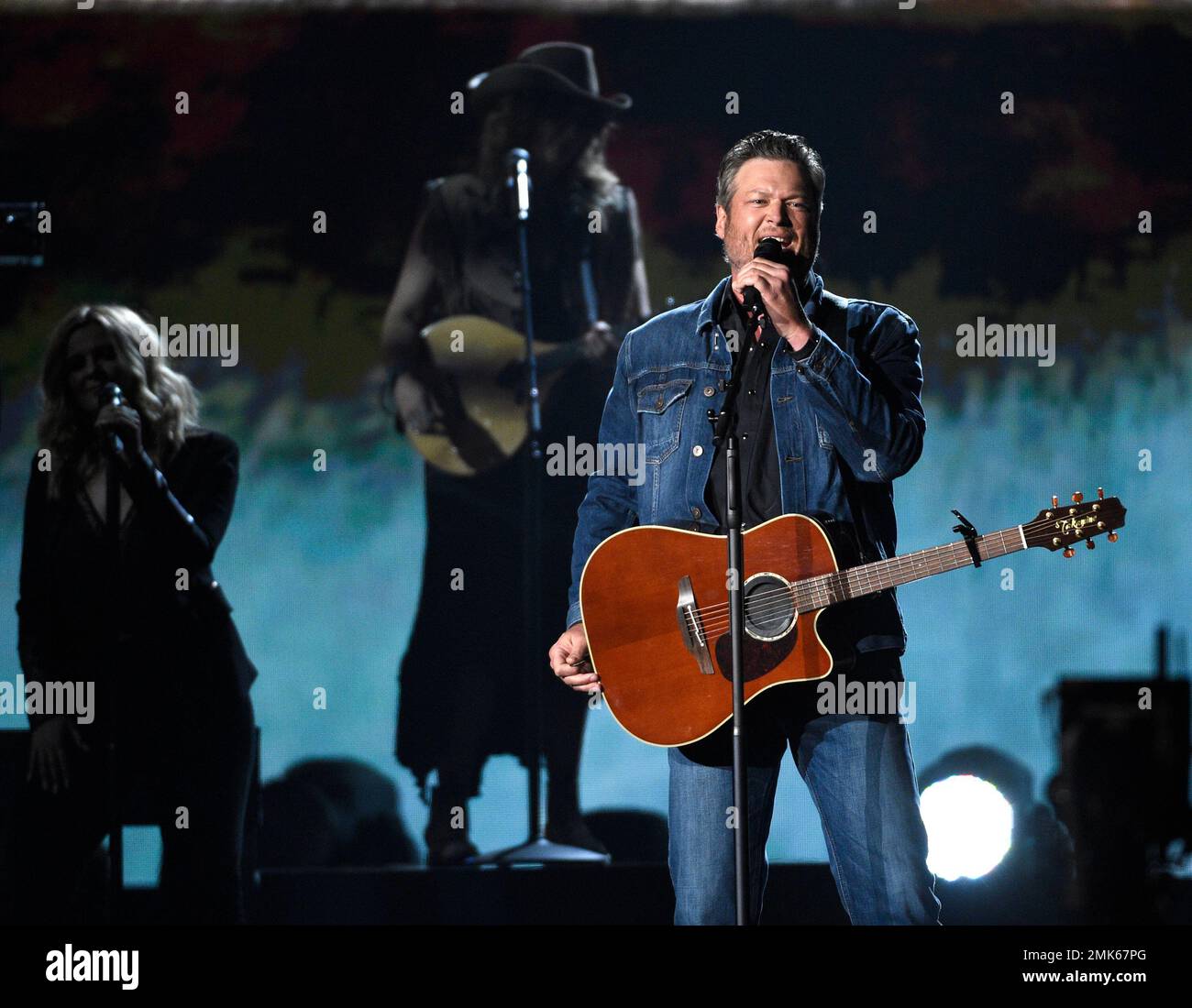 Blake Shelton performs "God's Country" at the 54th annual Academy of ...