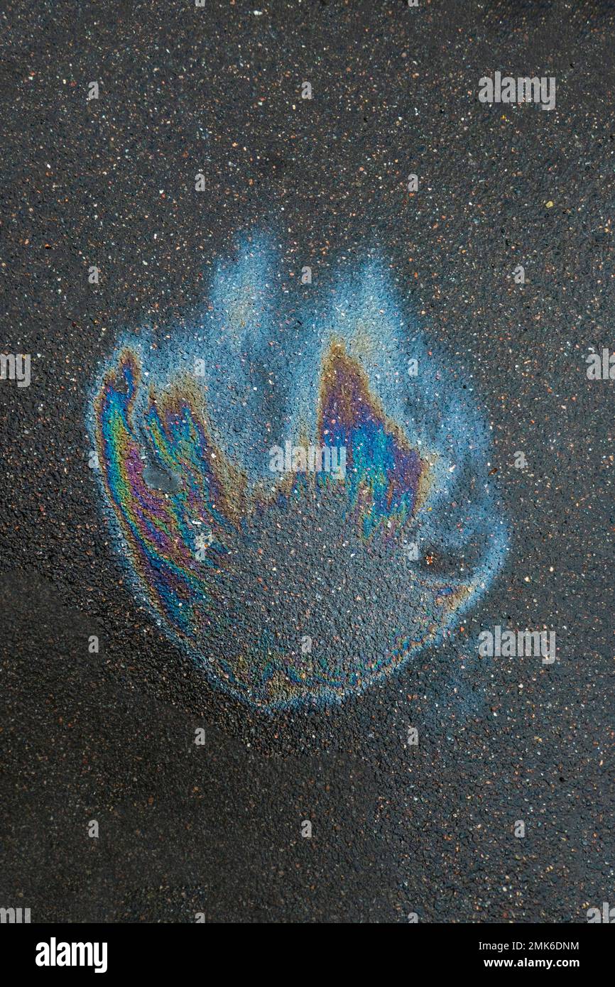 Iridescent spot of gasoline. Petrol on the asphalt a big polluted ...