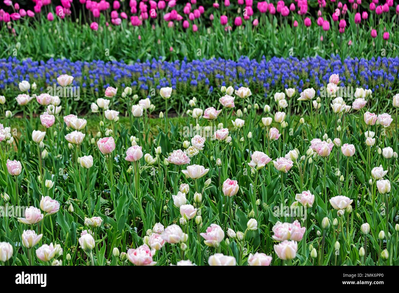 Bed field hi-res stock photography and images - Alamy