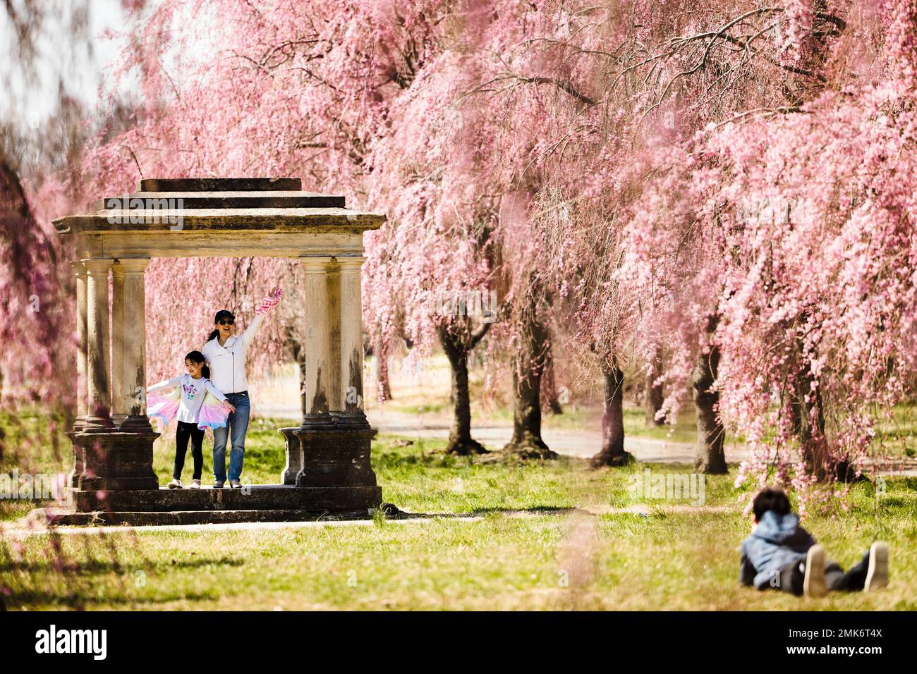 Jason Zhang, 12, right, photographs his sister, Callie Zhang, 7, left ...