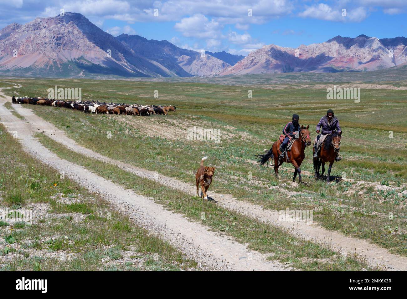 Kyrgyz nomads and sheep herd, Tian Shan mountains near the Chinese ...