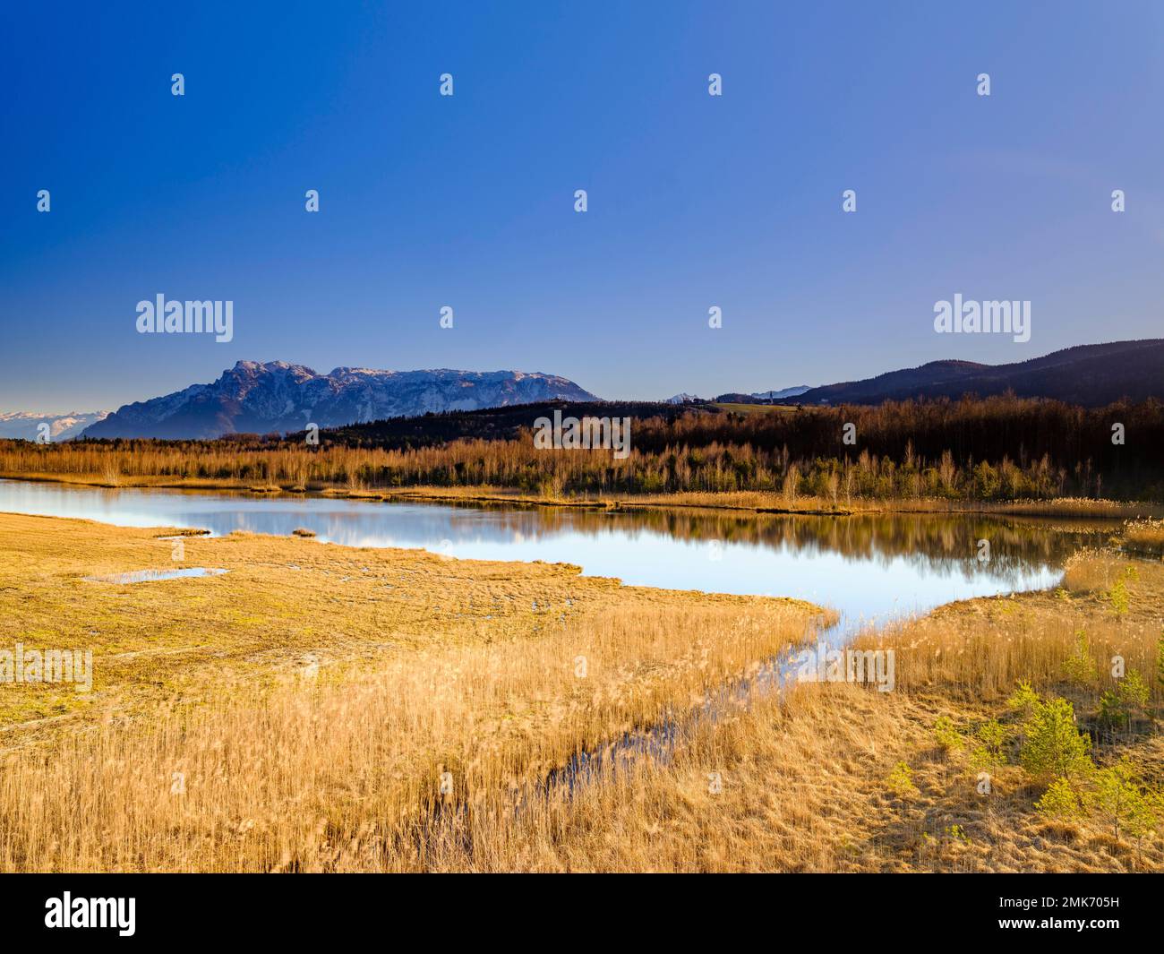 Moor lake in the Ainringer Moor, also moss, in the back the Untersberg ...