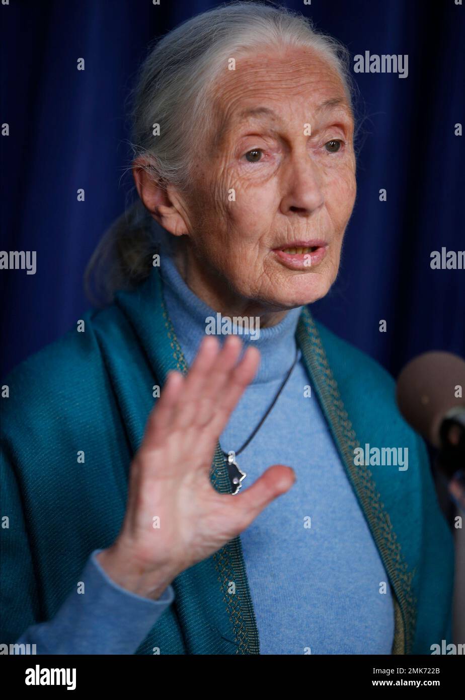 Primatologist Jane Goodall speaks about the environment after being ...