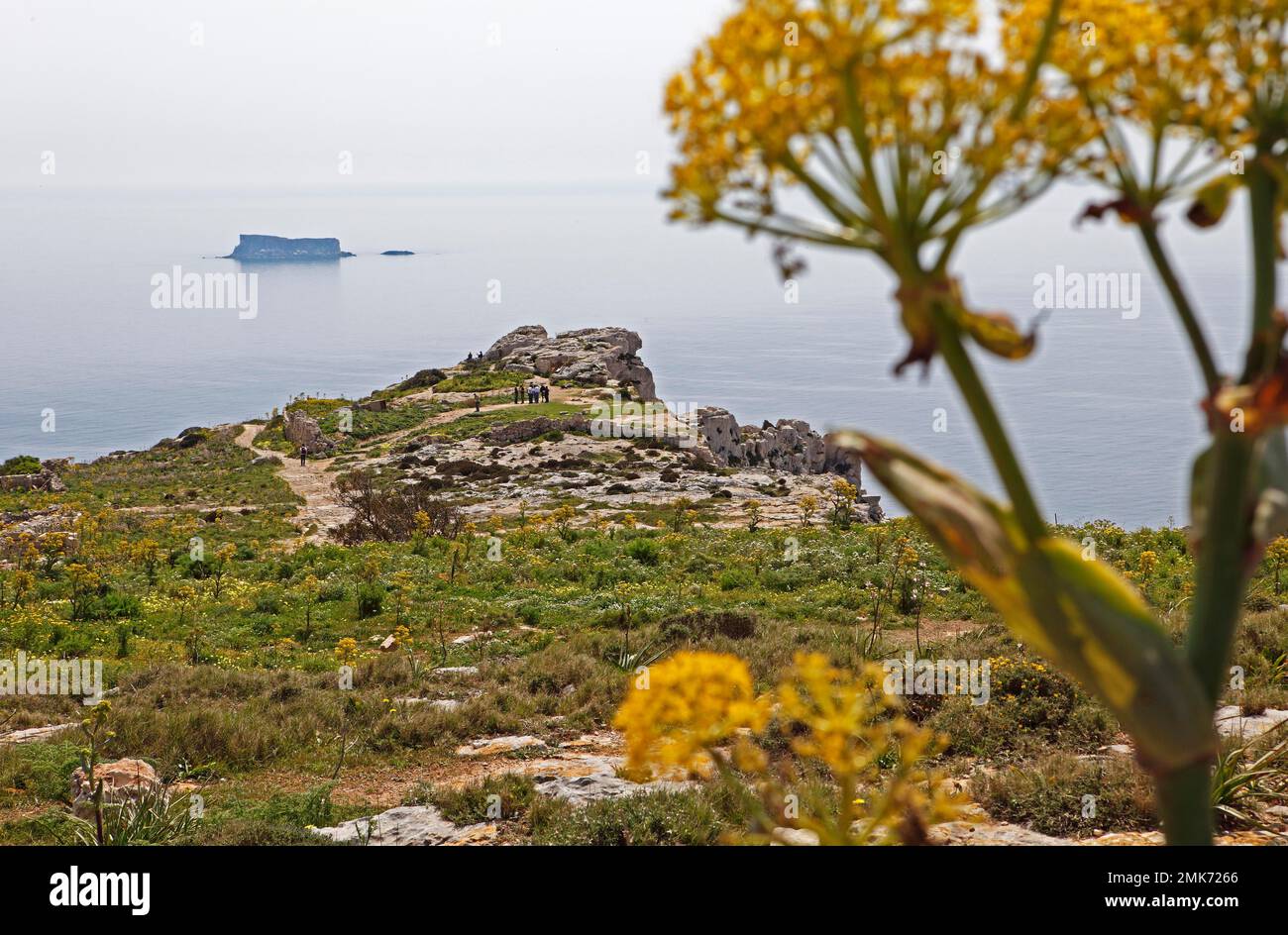 Rock plateau out to sea, Dingli, Malta, Maltese Islands Stock Photo - Alamy
