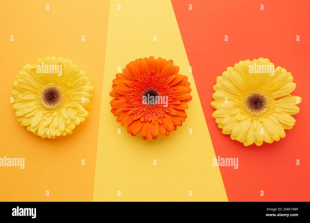 High resolution flowers hi-res stock photography and images - Alamy
