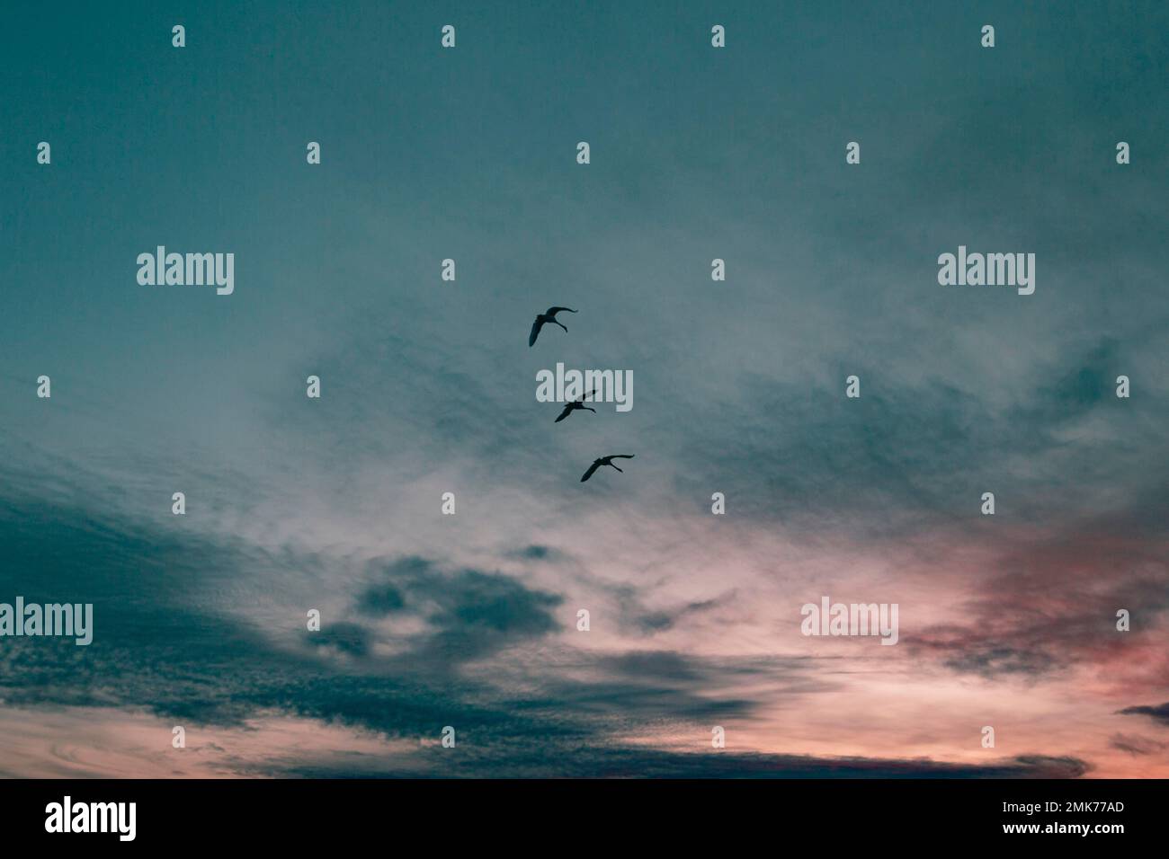 inspiring view sunrise light. High resolution photo Stock Photo - Alamy