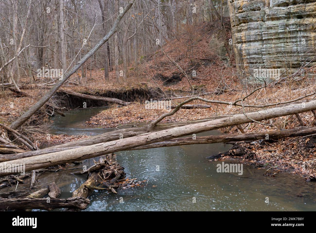 Water flowing down Illinois Canyon on a Winter morning. Starved Rock ...