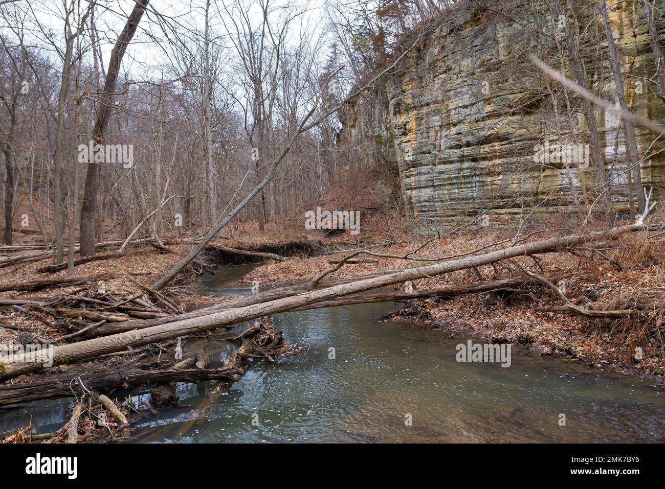 Water flowing down Illinois Canyon on a Winter morning. Starved Rock ...