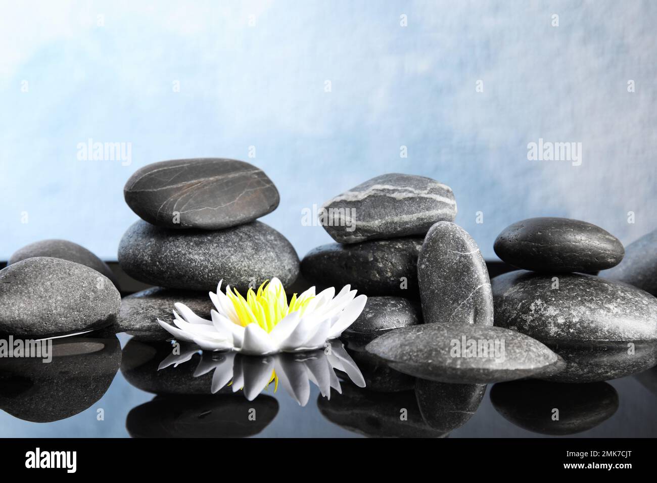 Beautiful zen garden with lotus flower and pond on light blue ...