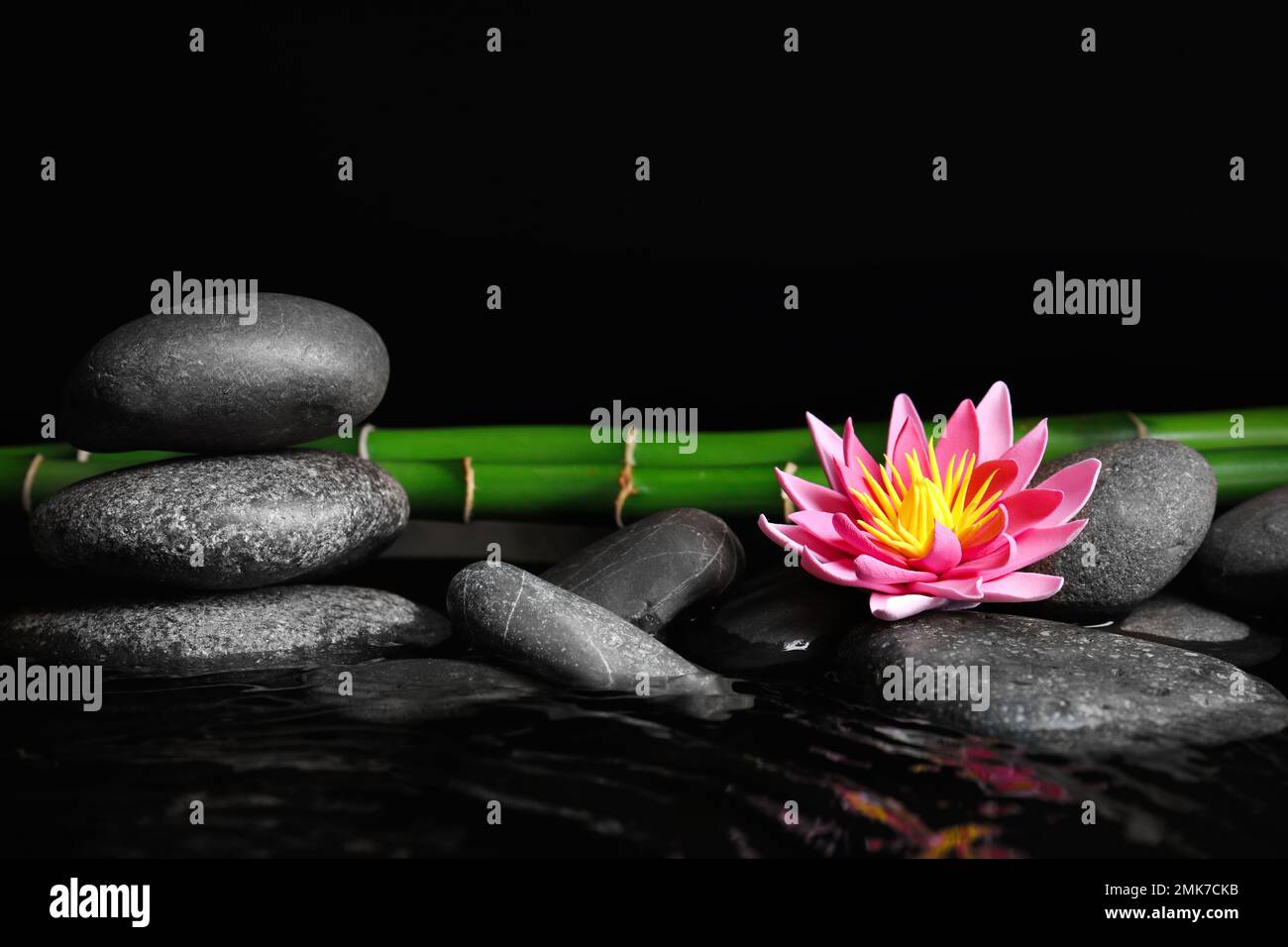 Beautiful zen garden with lotus flower and pond on black background ...