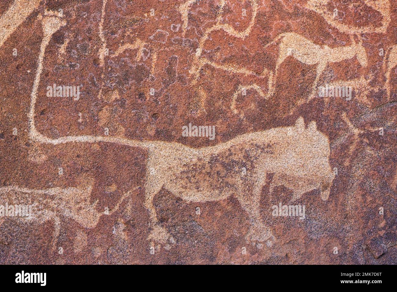 The famous lion panel at the Twyfelfontein rock engravings west of the ...