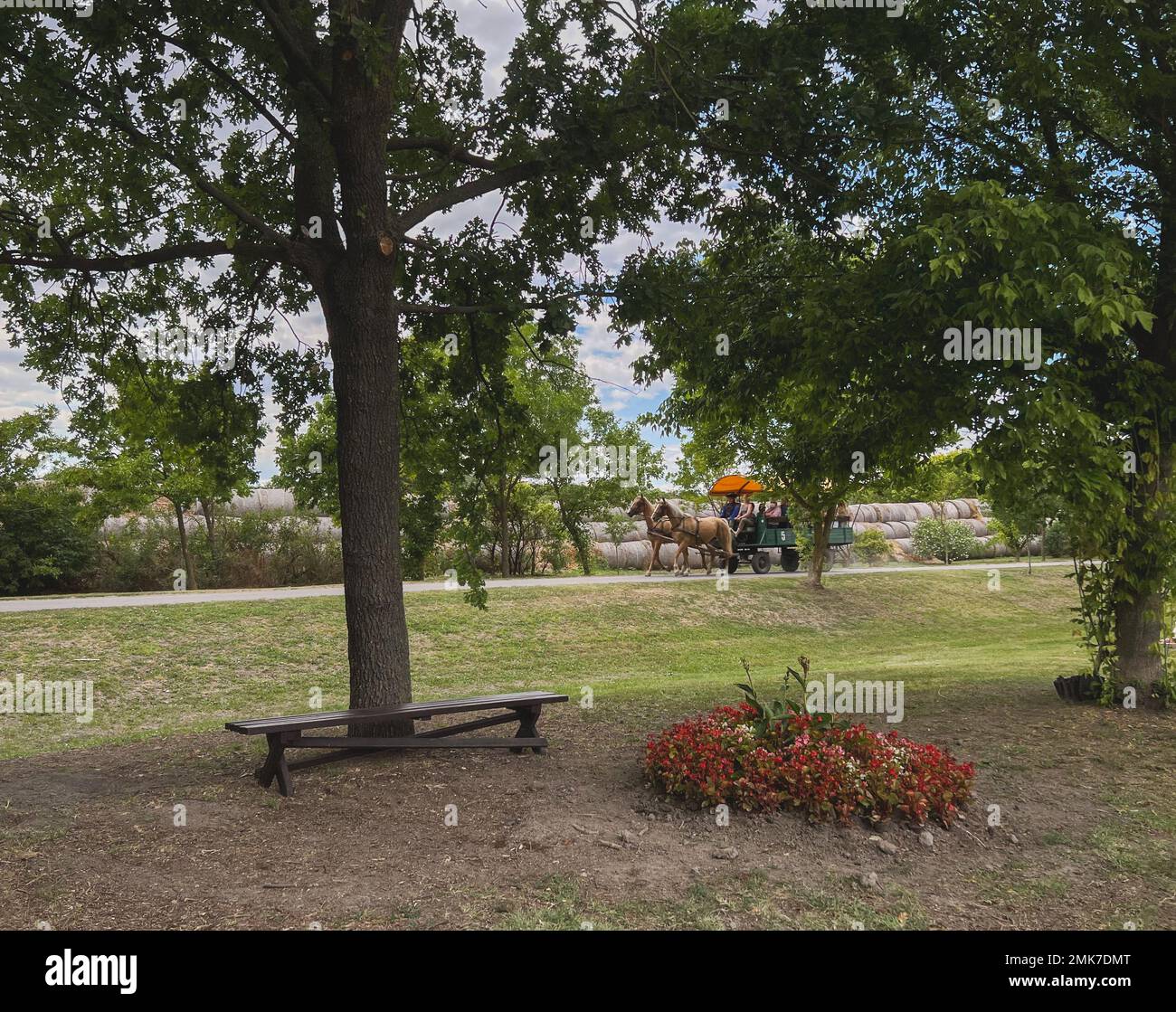 Magyar cowboy ranch is located in Dunapataj, Bács-Kiskun-Kiskun ...